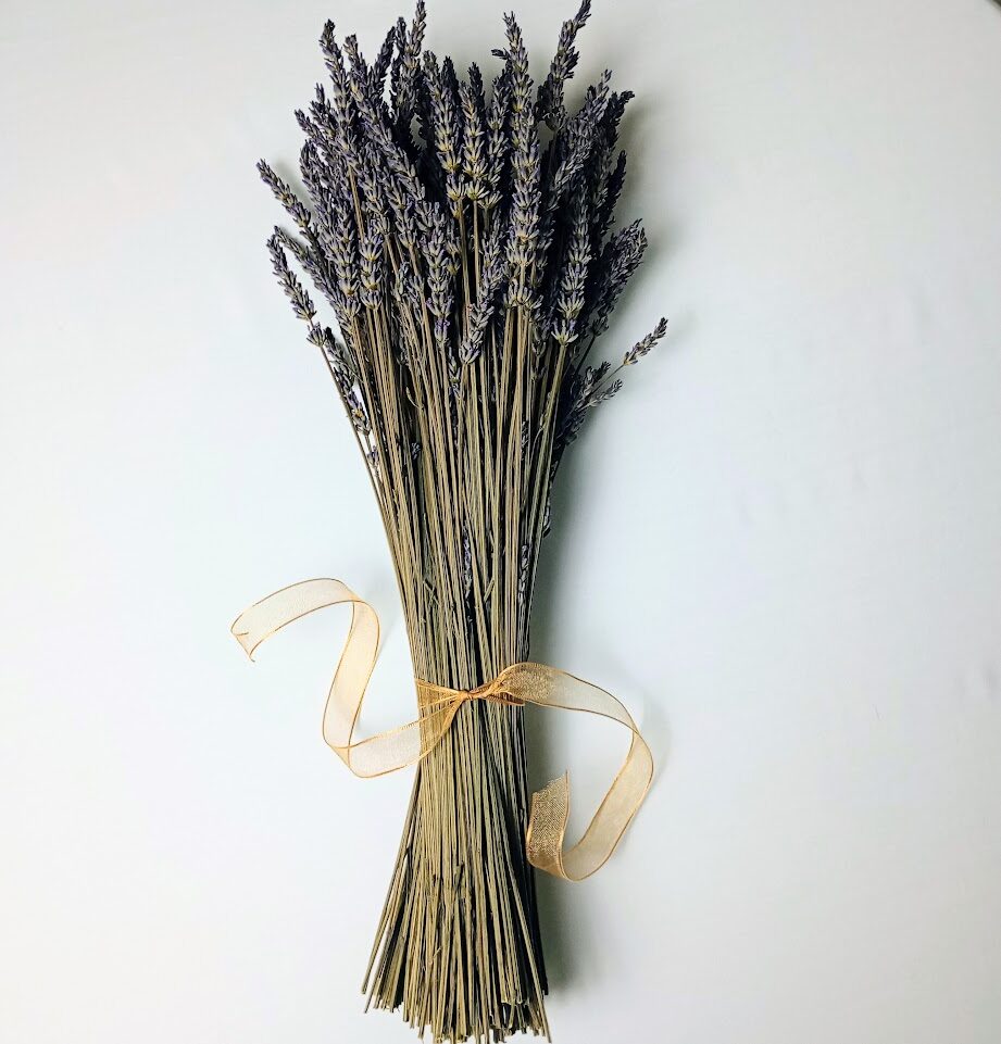 Dried Lavender Bundle | Aromatic, Long Stem